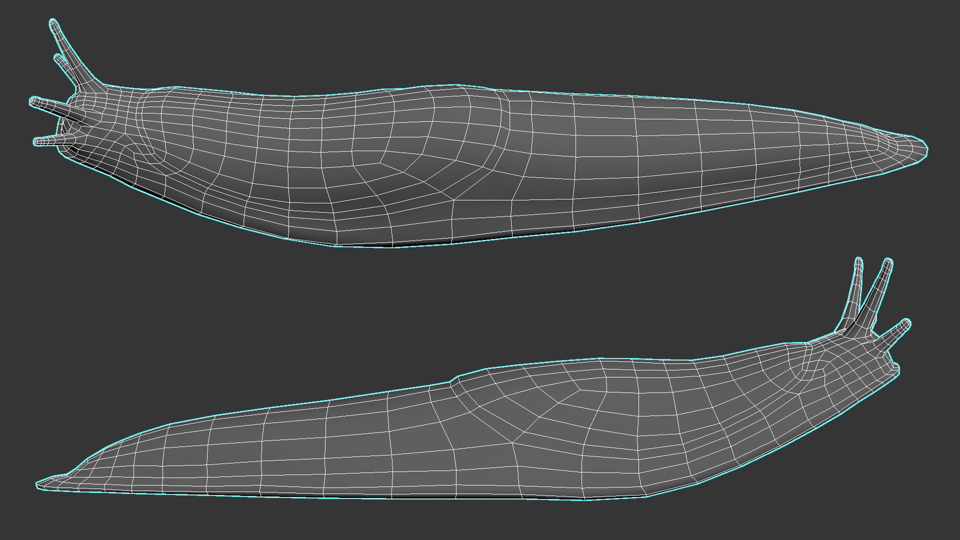 3D Model Slug - TurboSquid 2044541