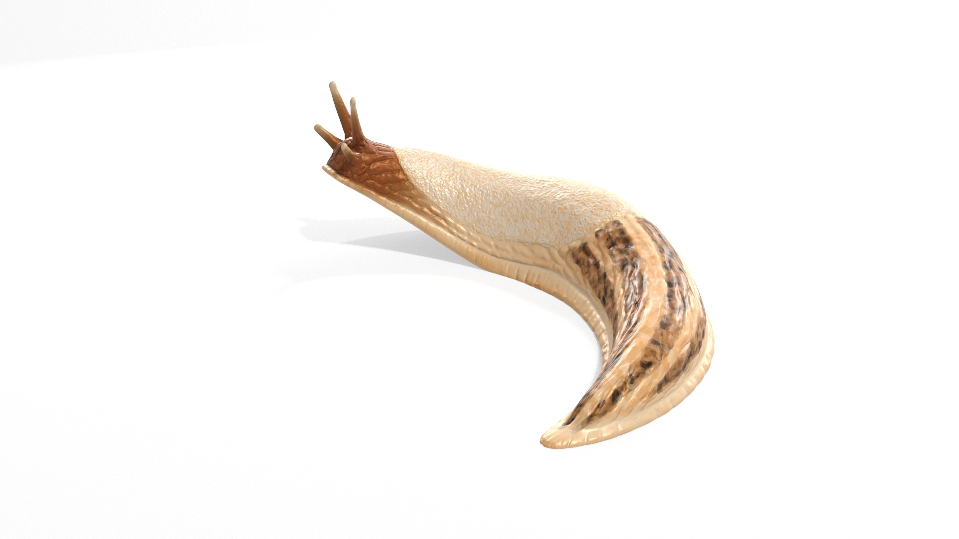 3D Model Slug - TurboSquid 2044541