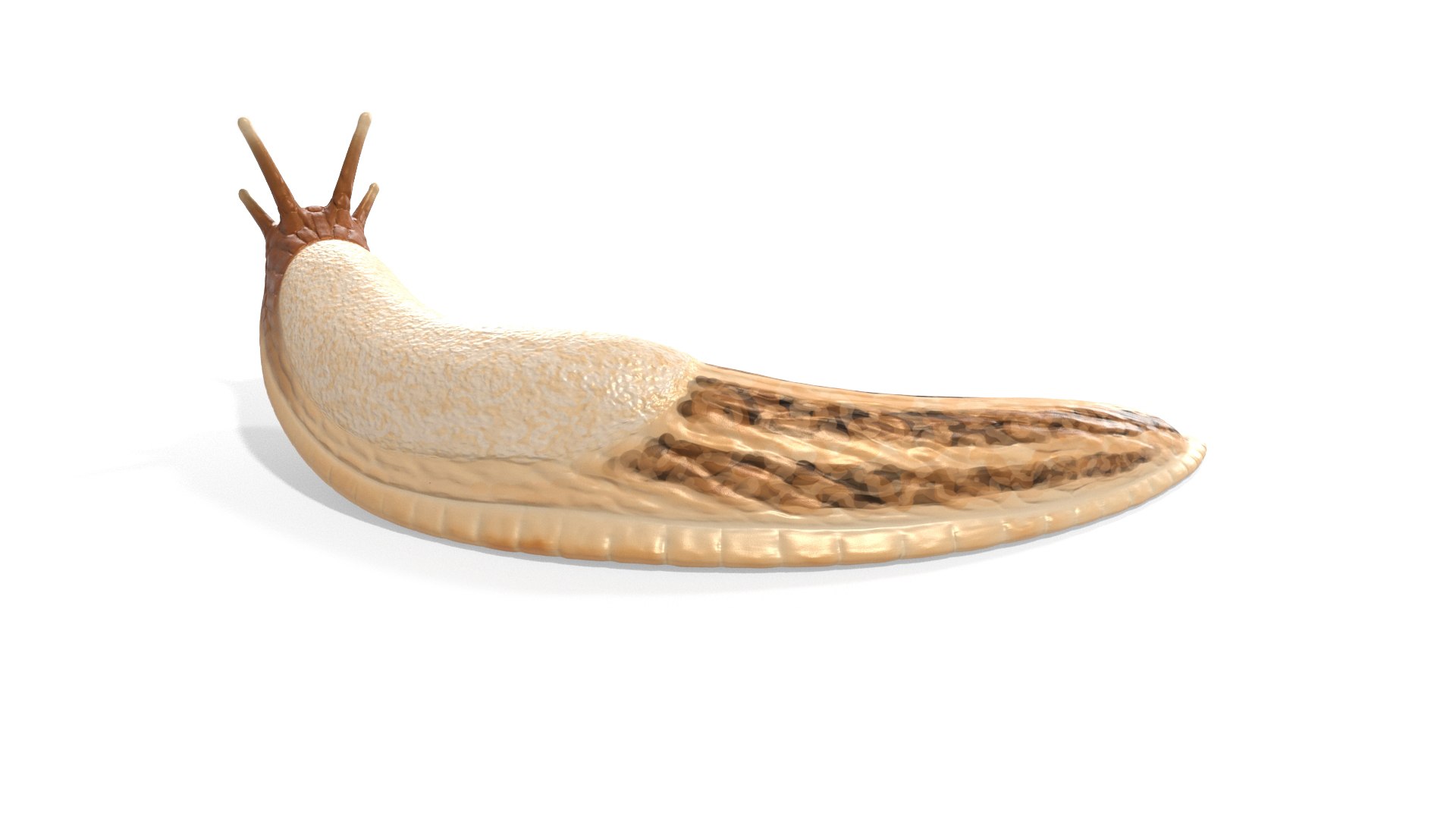 3D Model Slug - TurboSquid 2044541