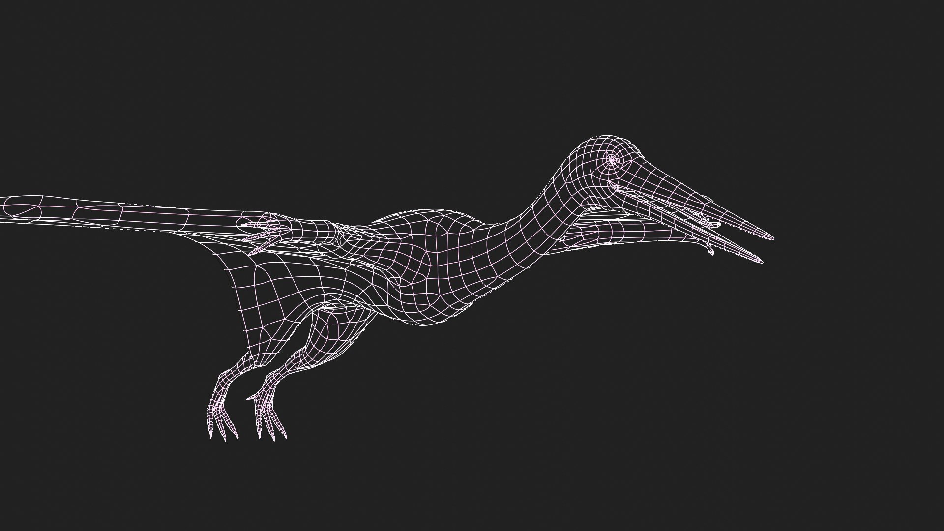 3D Alanqa Bird Base Mesh model - TurboSquid 2065121