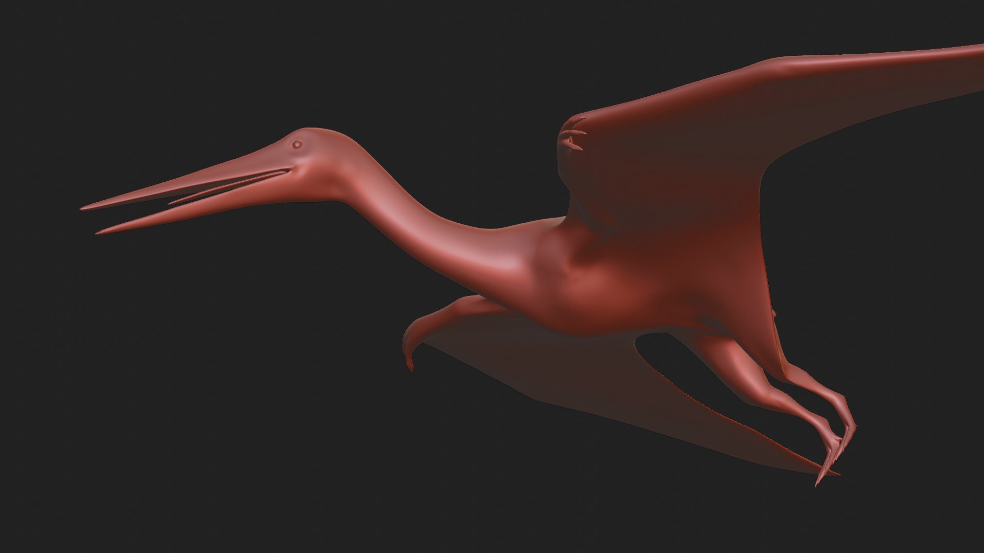 3D Alanqa Bird Base Mesh model - TurboSquid 2065121