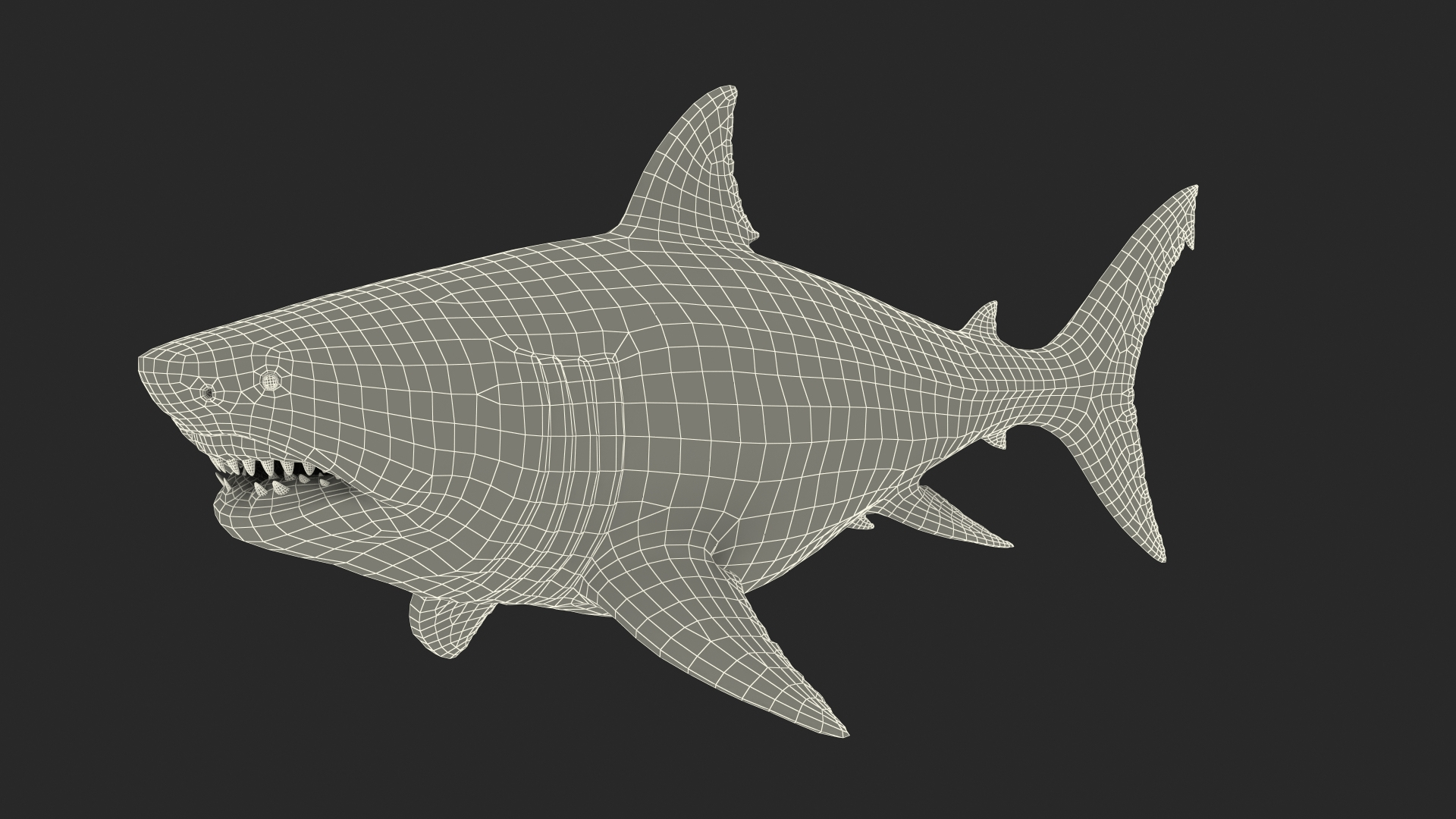 3D Ancient Megashark Rigged For Maya - TurboSquid 1861948