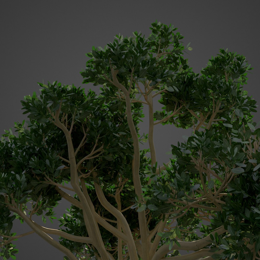 Tree nature model - TurboSquid 1677008