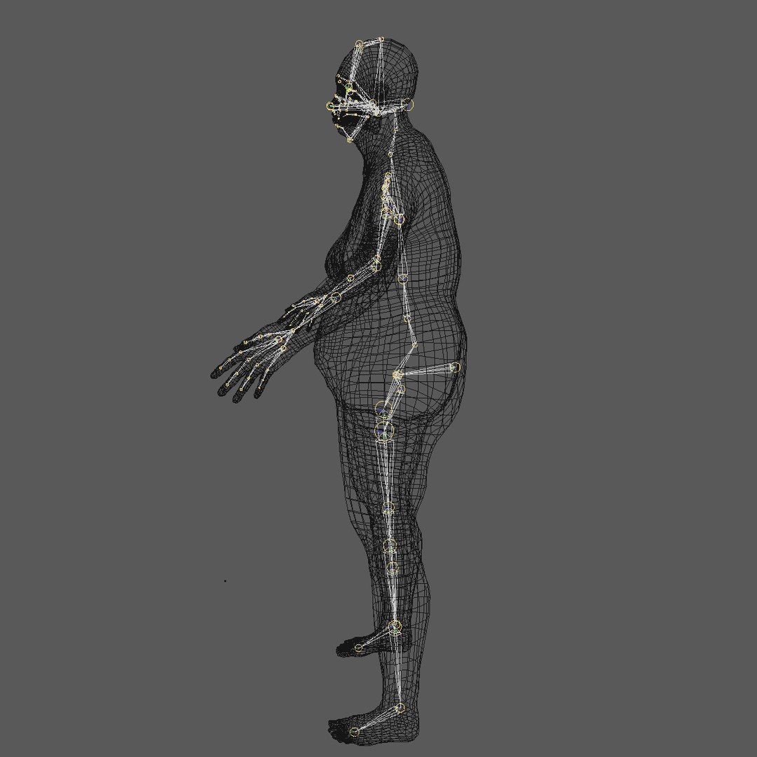 Base Mesh Old Obese 3d C4d