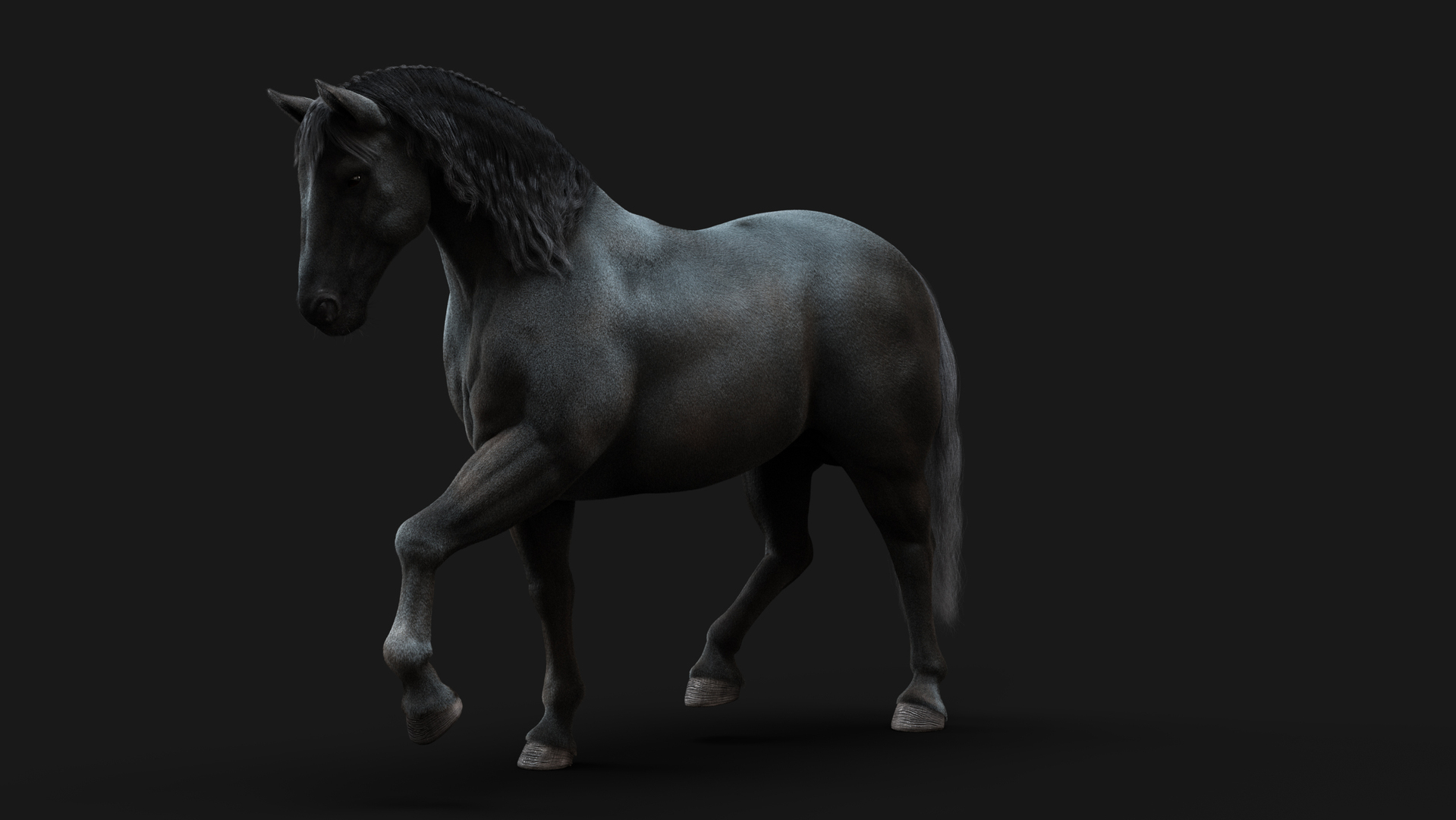 Horse Black RIG XGEN 3D Model - TurboSquid 2163358