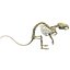3d Model Rat Skeleton