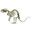 3d Model Rat Skeleton