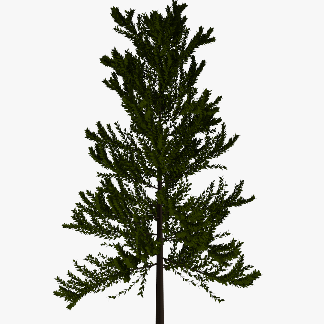 3d Leafy Tree Background Model