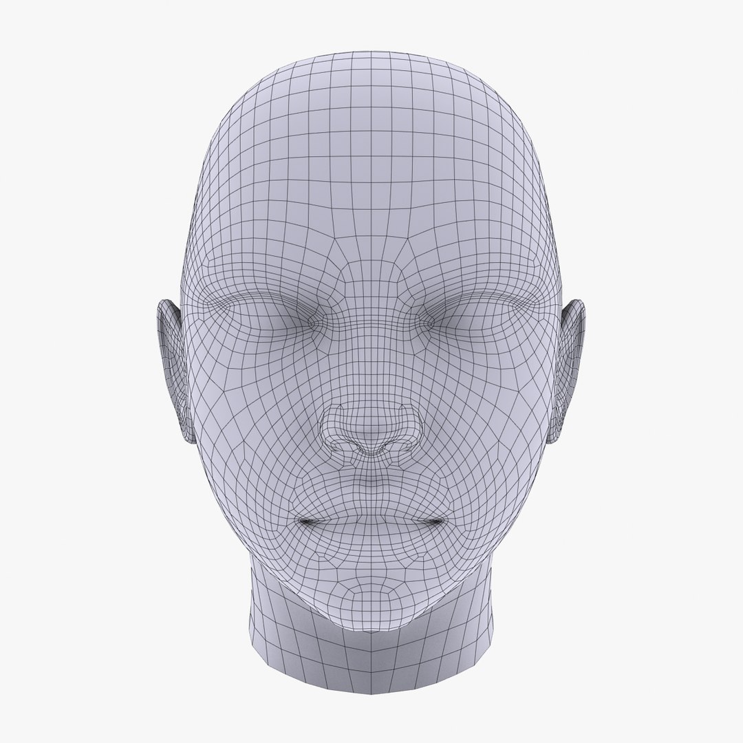 brain head education 3d obj