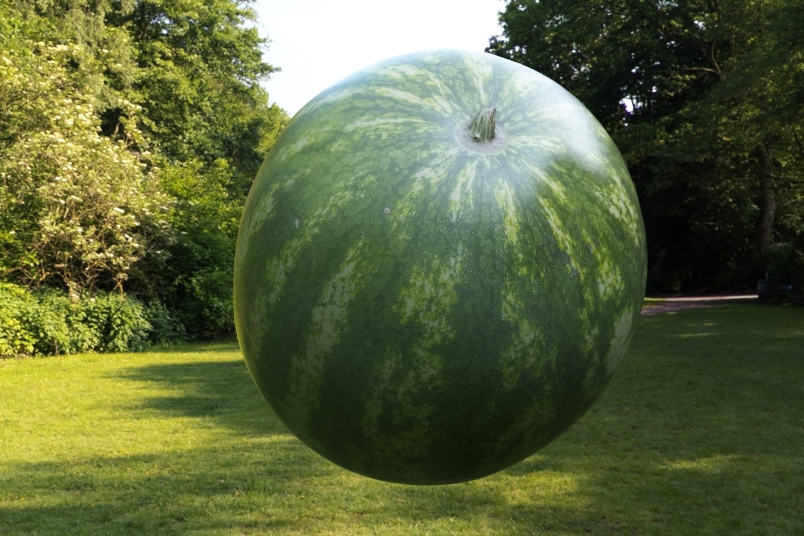 watermelon super realistic 3d model