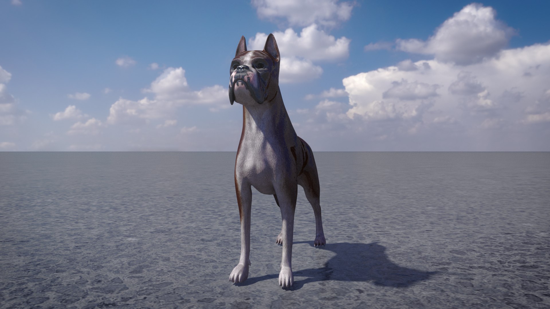 Boxer Dog Model - TurboSquid 2349224