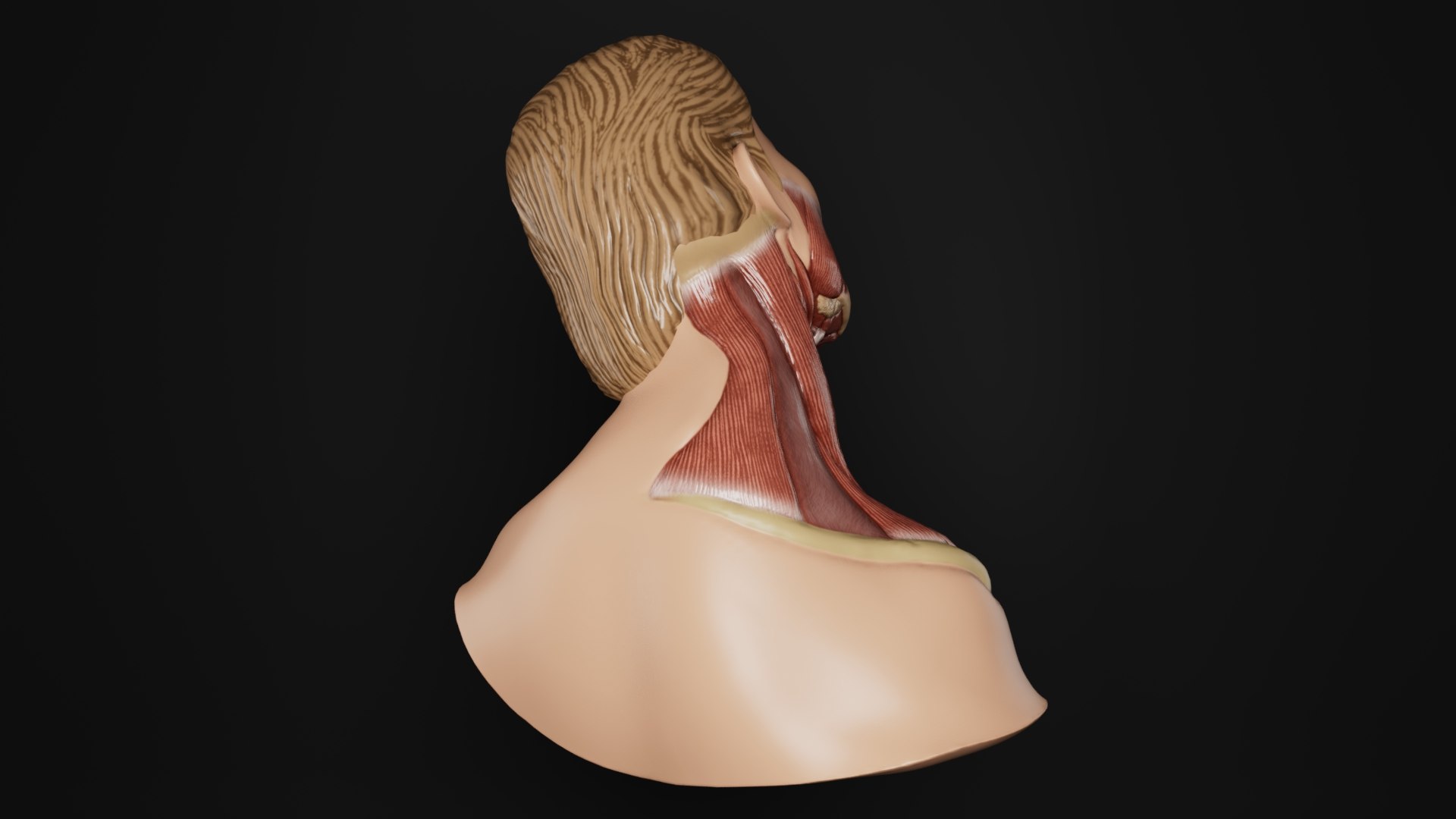 3D Human Anatomy-Masticatory Muscle - TurboSquid 2214799