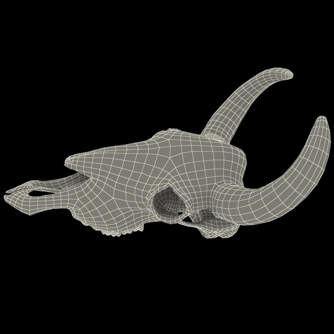 cow skull max