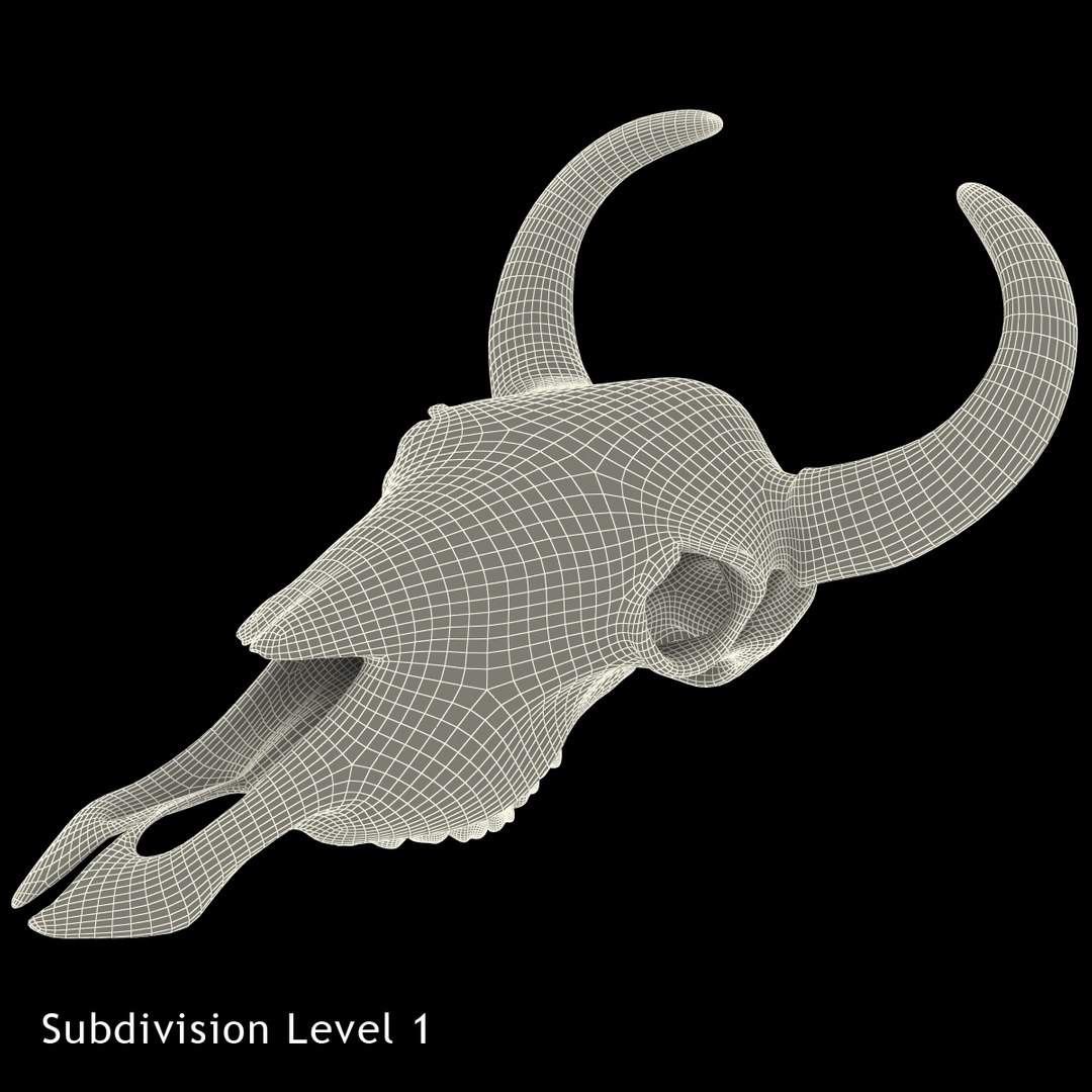 cow skull max