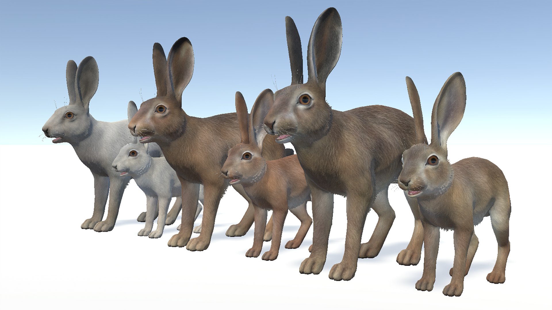 3D Hare Family Model - TurboSquid 2129005
