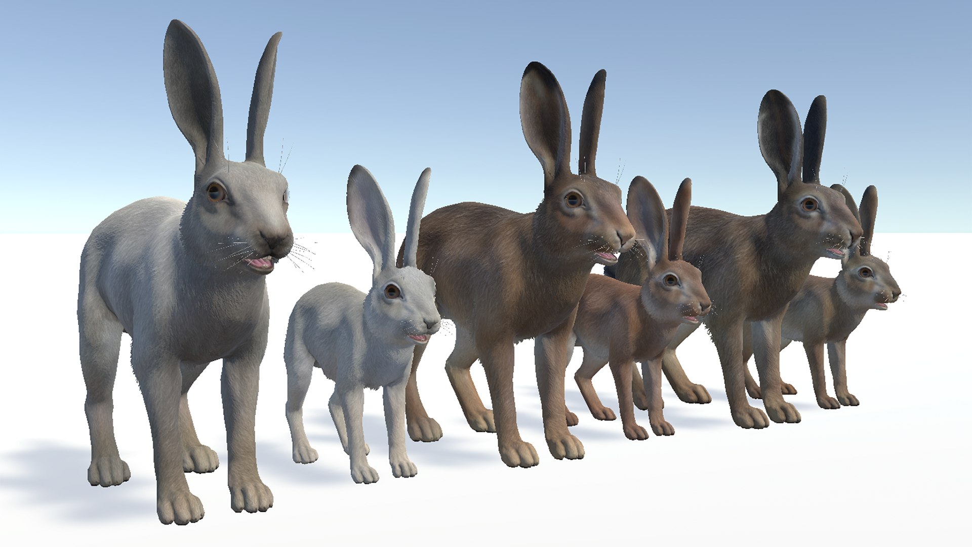 3D Hare Family Model - TurboSquid 2129005