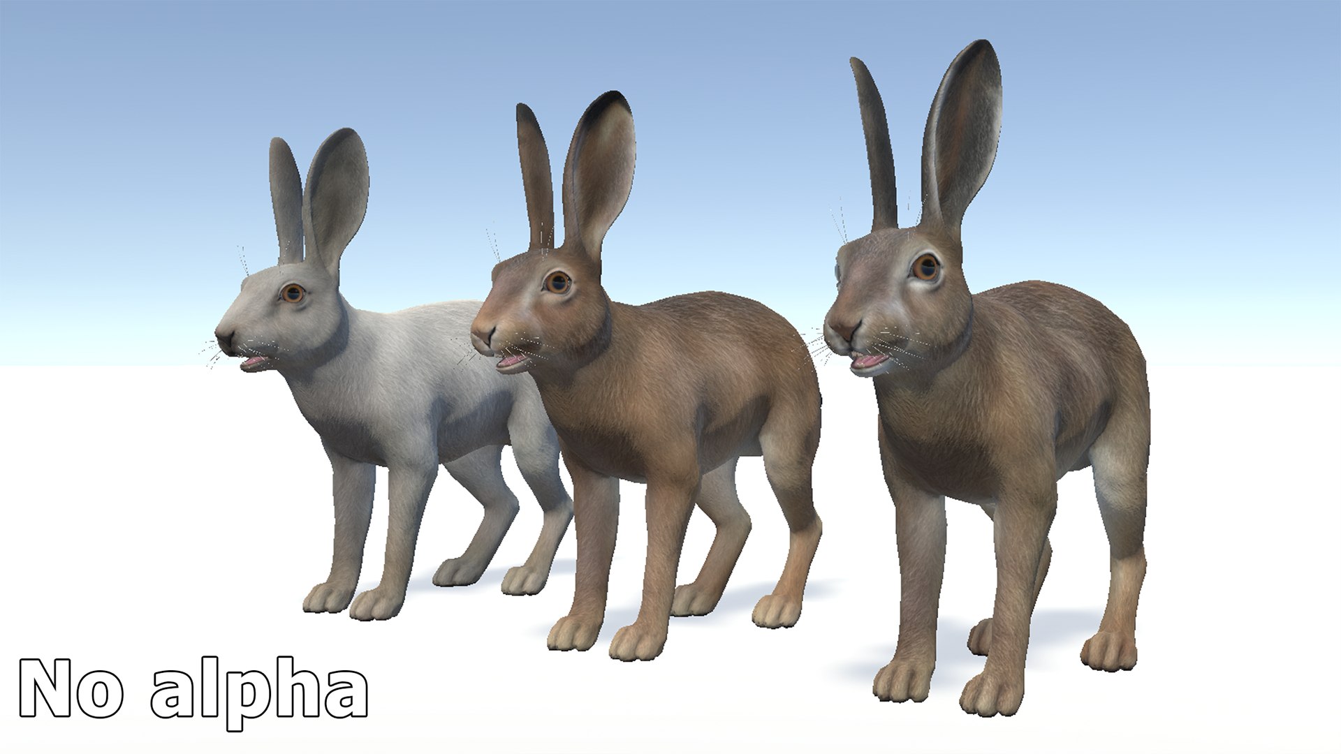 3D Hare Family model - TurboSquid 2129005