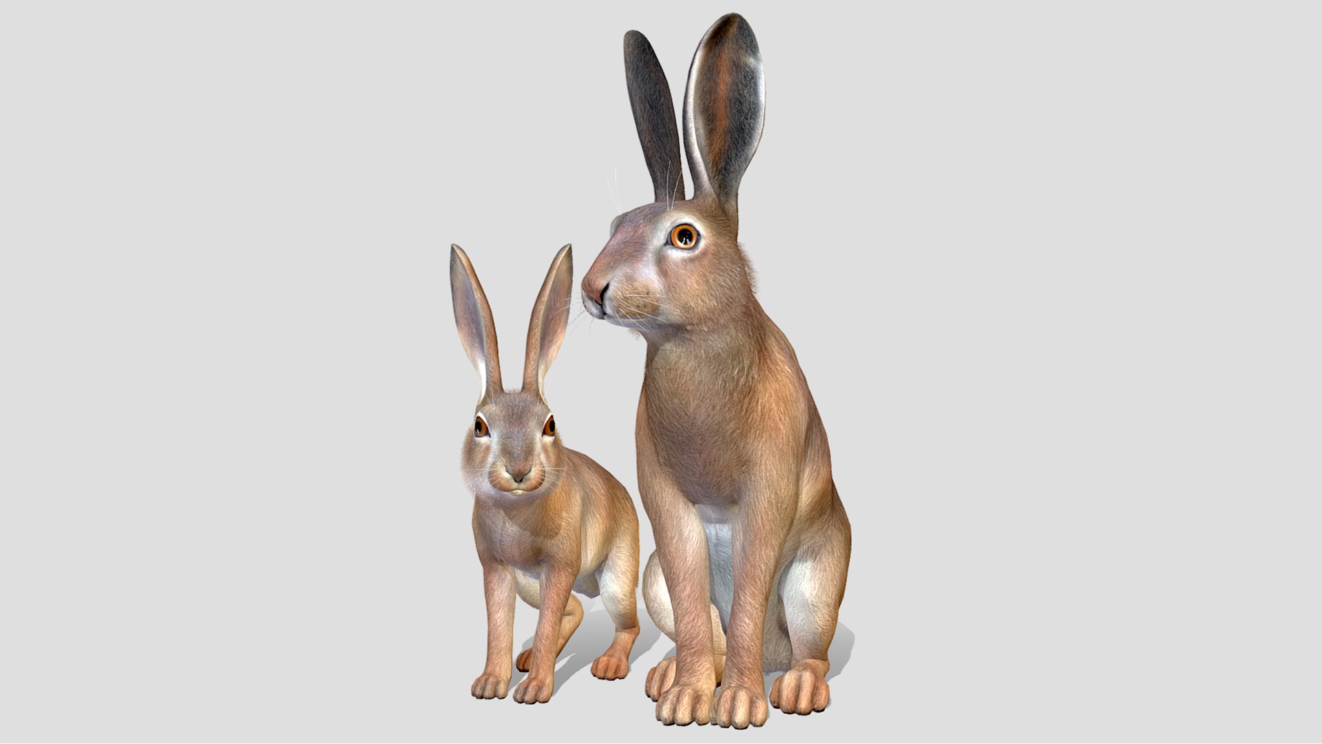 3D Hare Family Model - TurboSquid 2129005