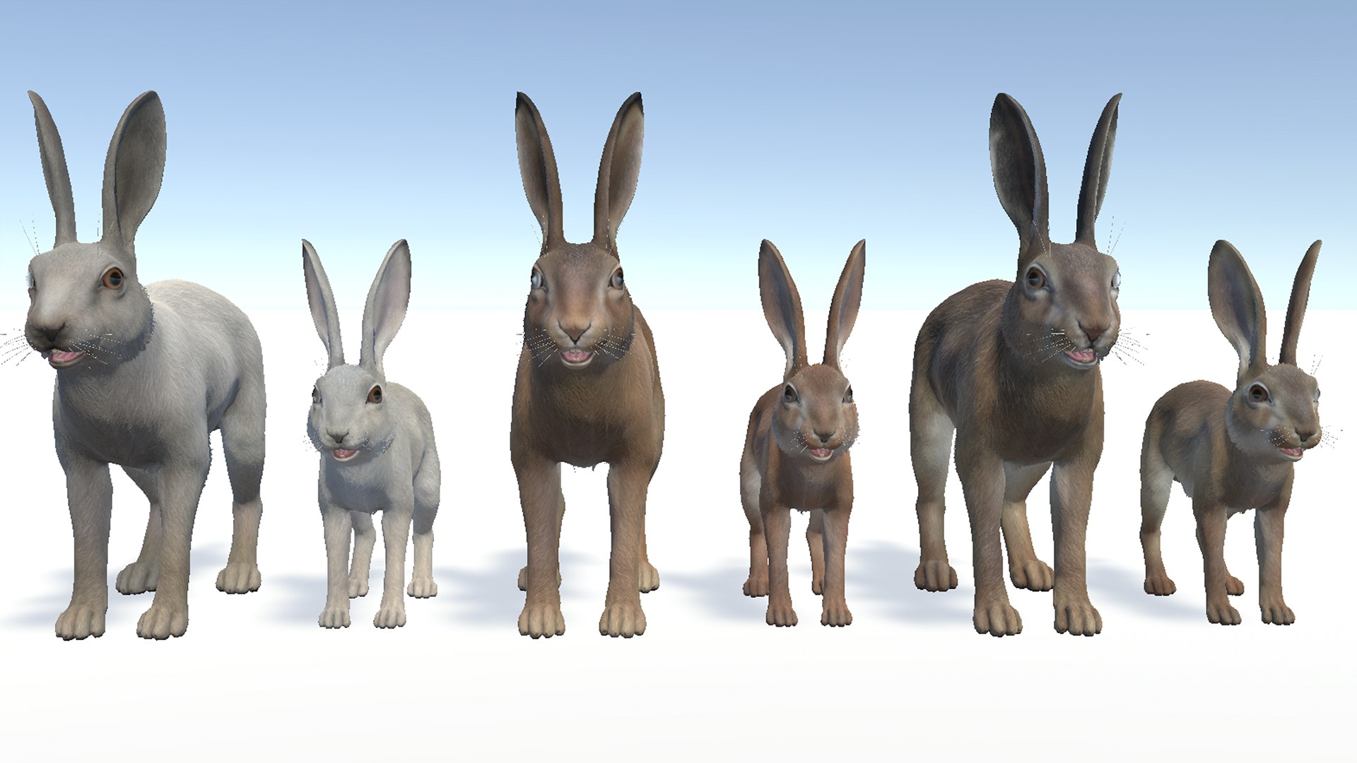 3D Hare Family Model - TurboSquid 2129005