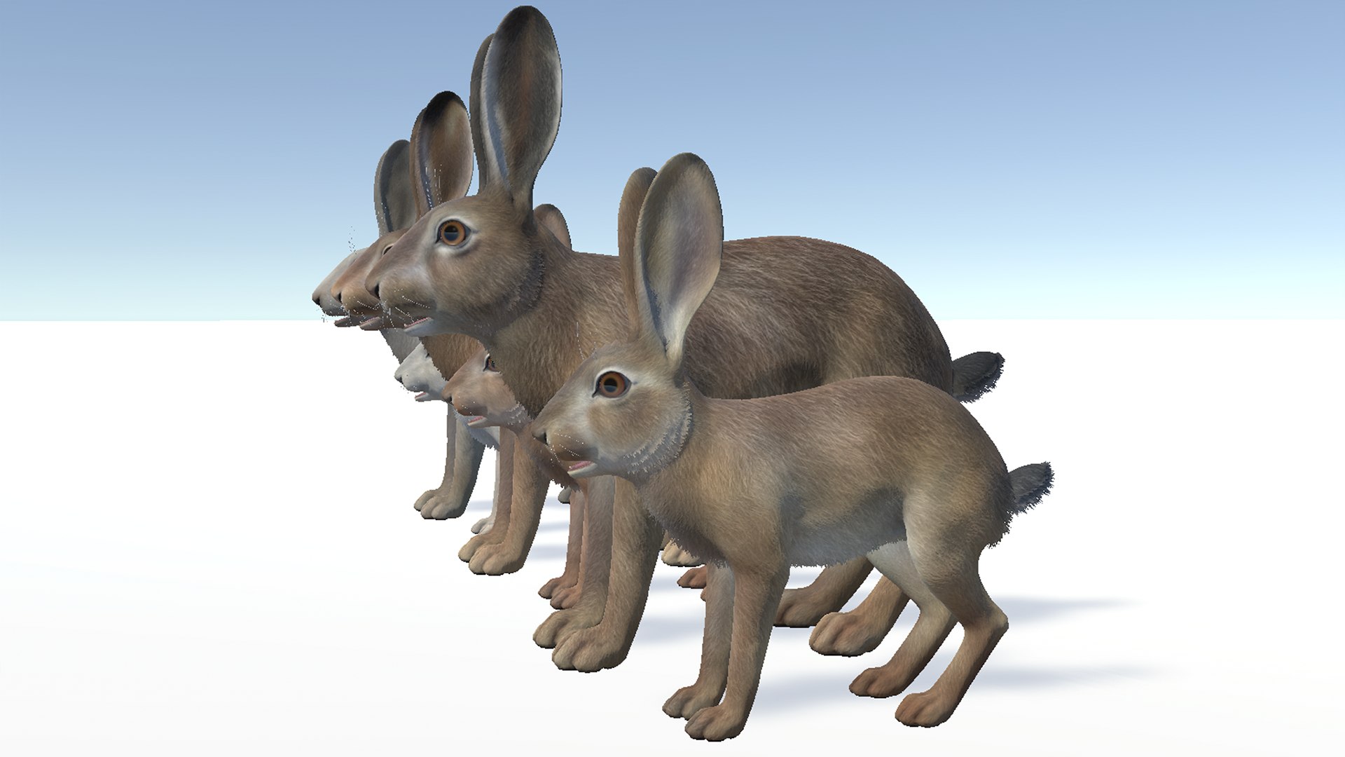 3D Hare Family Model - TurboSquid 2129005