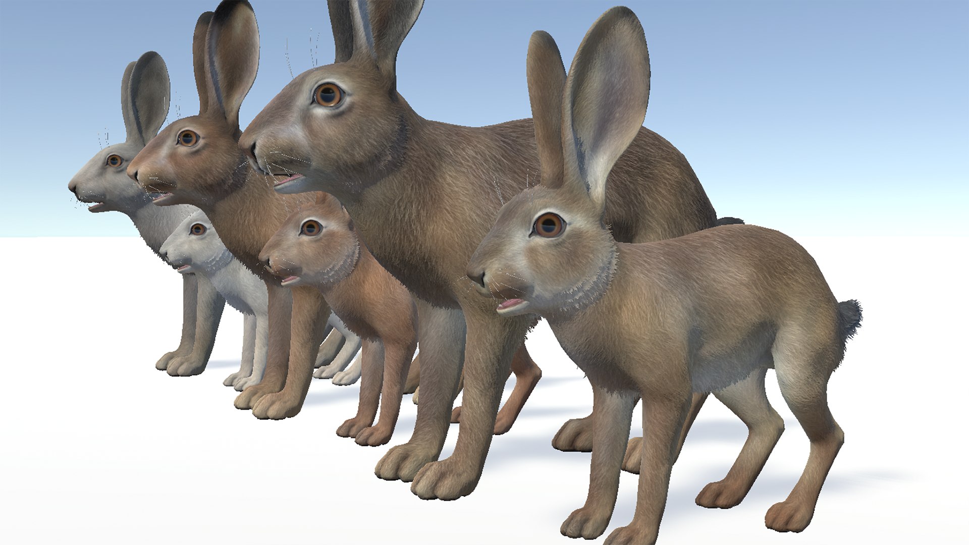 3D Hare Family Model - TurboSquid 2129005
