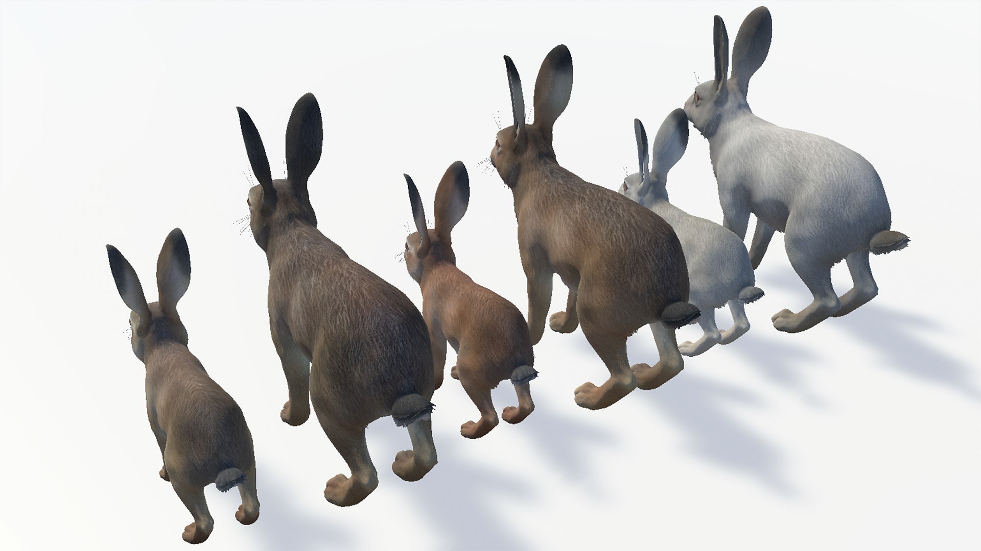 3D Hare Family Model - TurboSquid 2129005