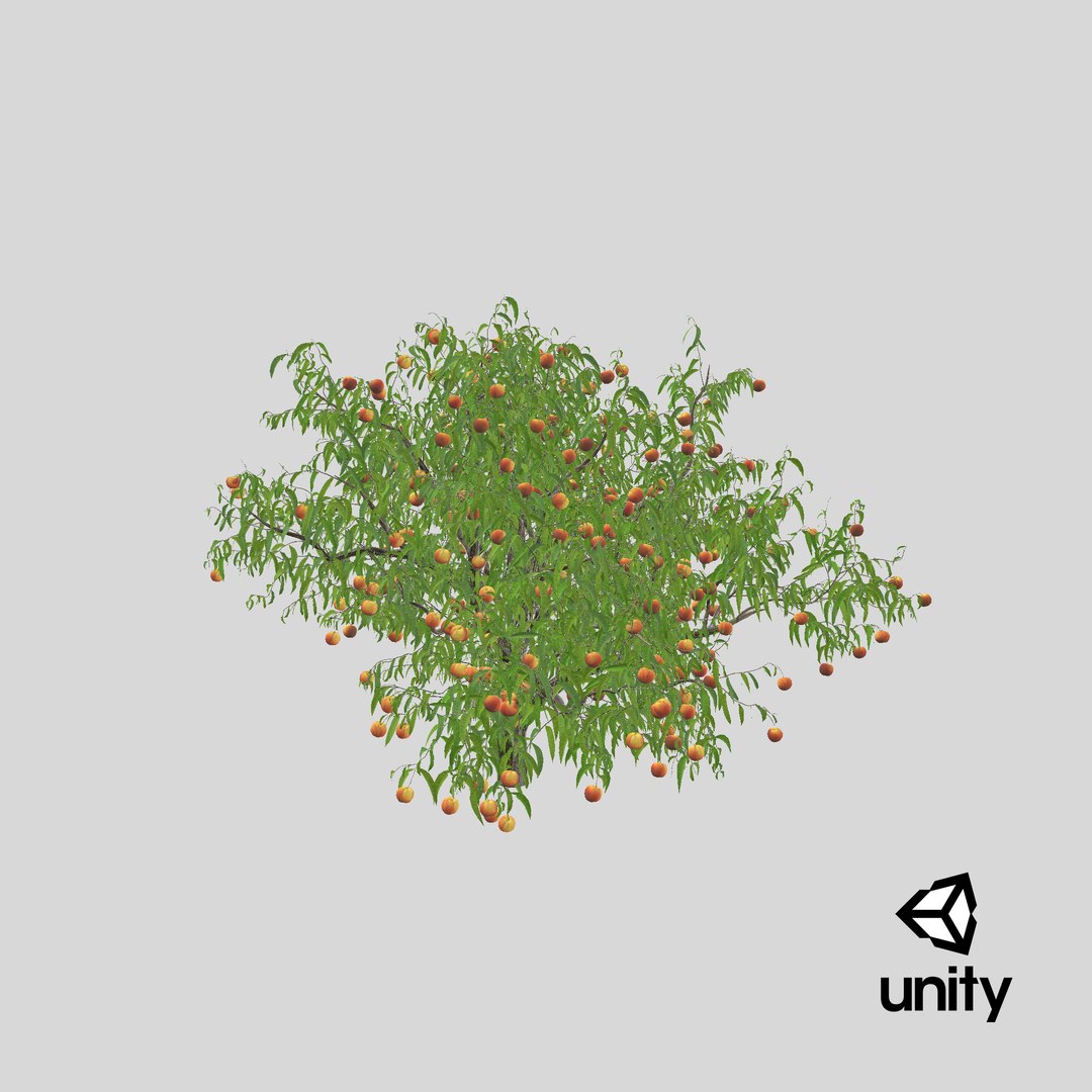 3D Peach Tree Fruits - TurboSquid 1509528