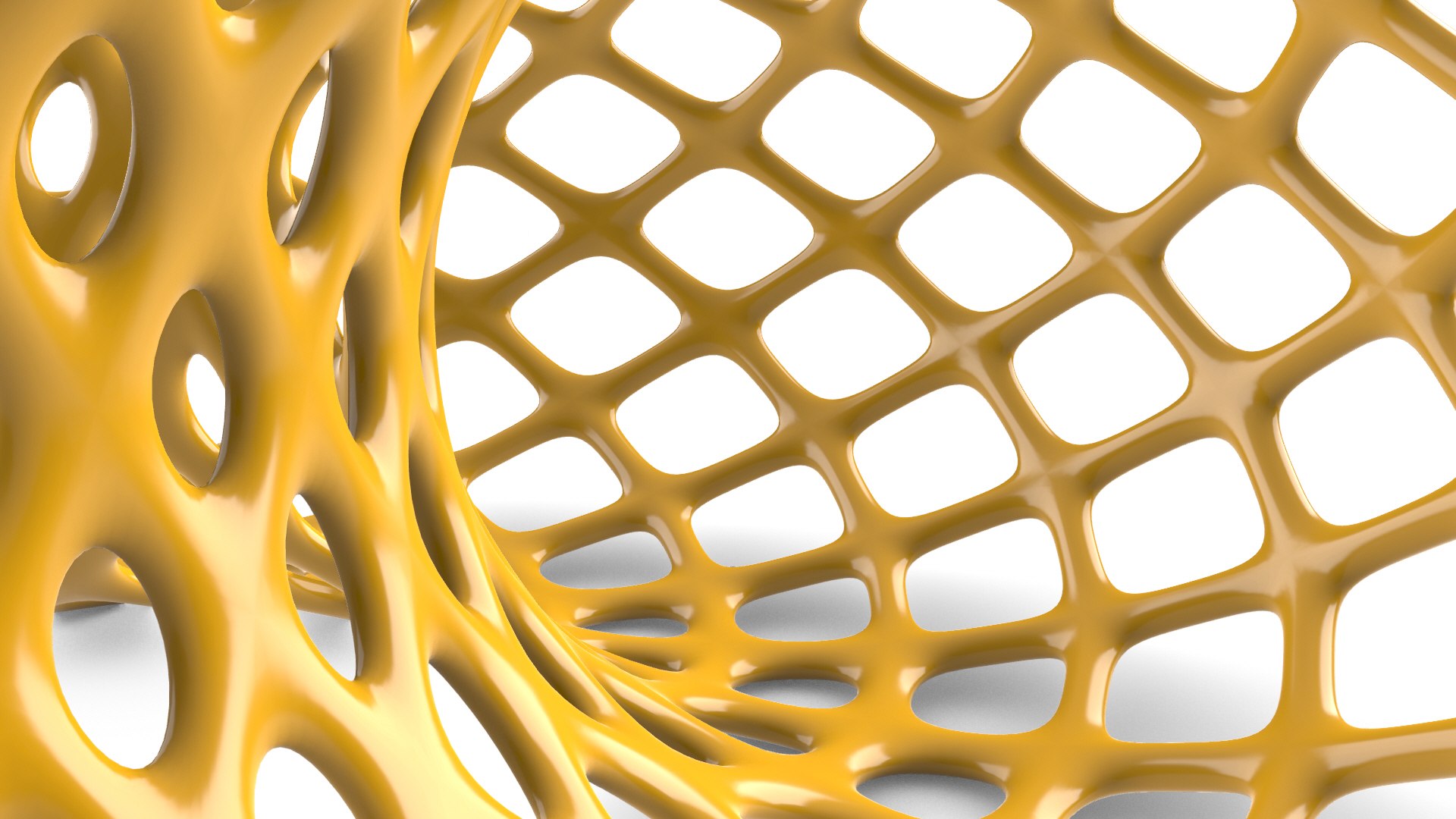 Torus Skeleton Network Model - TurboSquid 2311206