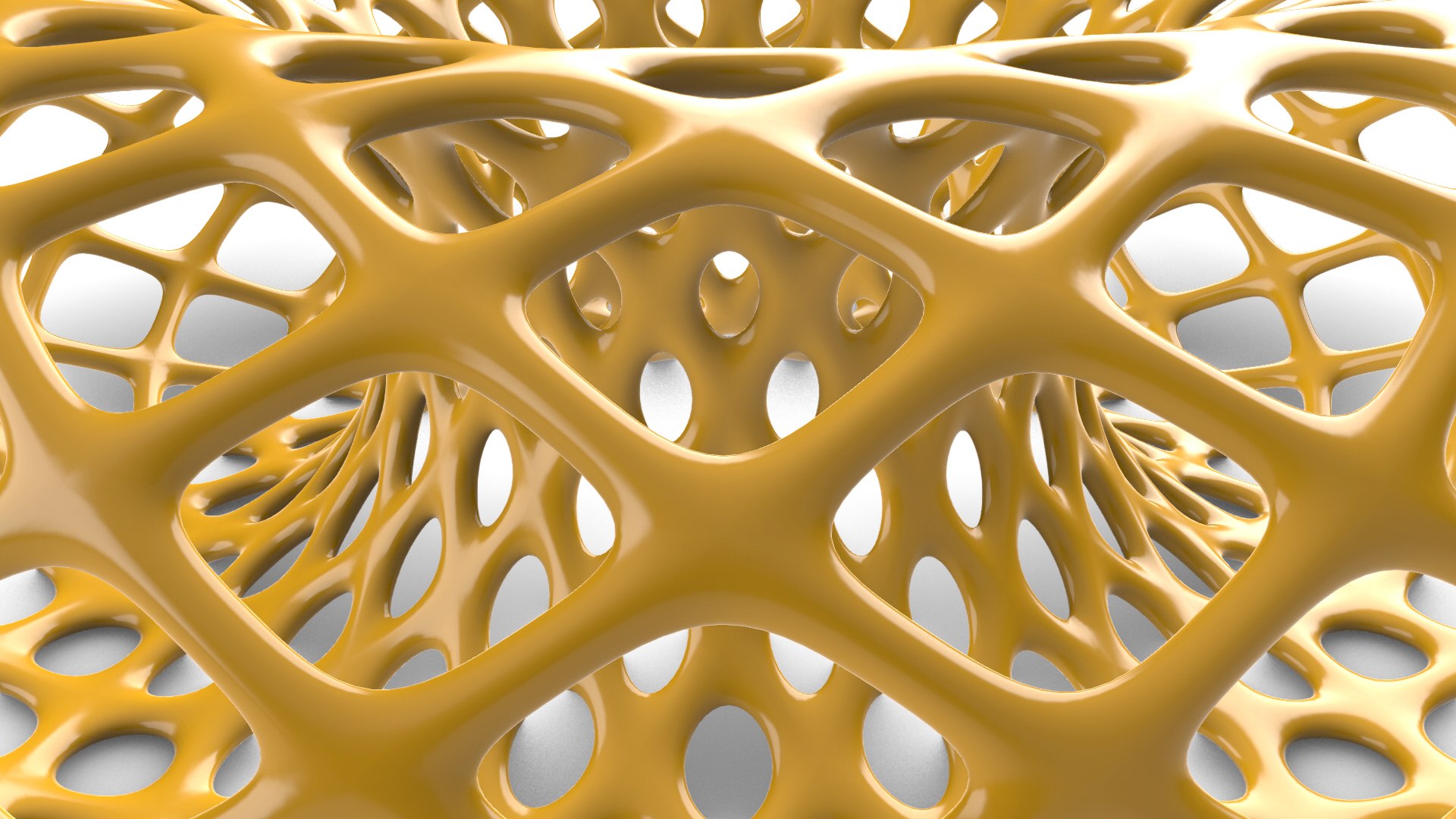 Torus Skeleton Network Model - TurboSquid 2311206