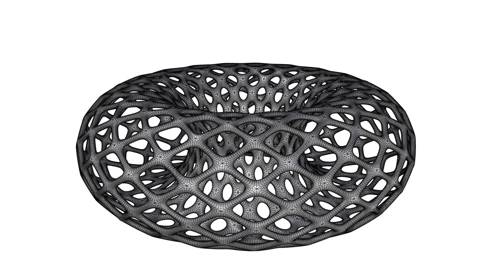 Torus Skeleton Network Model - TurboSquid 2311206