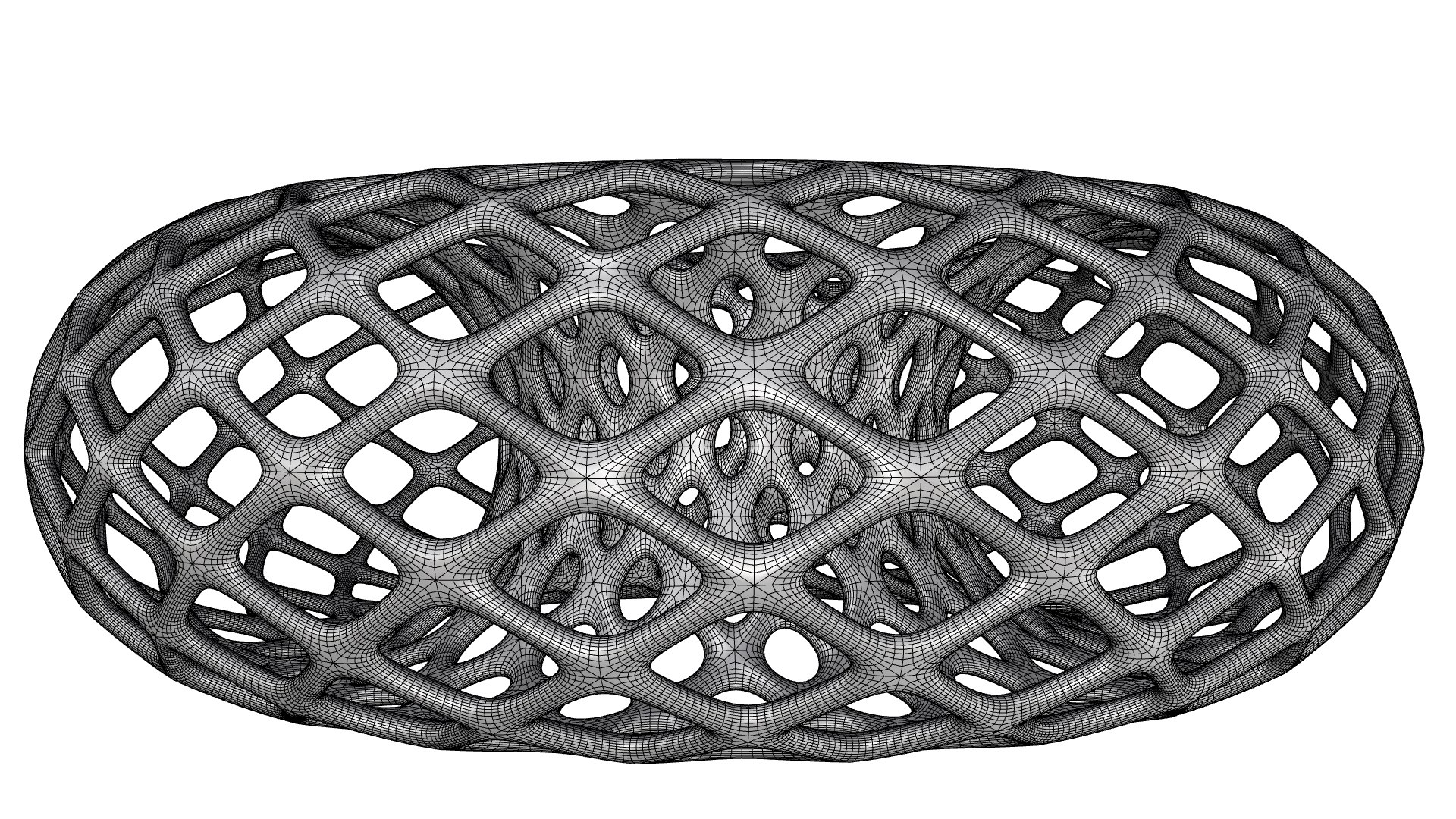 Torus Skeleton Network Model - TurboSquid 2311206