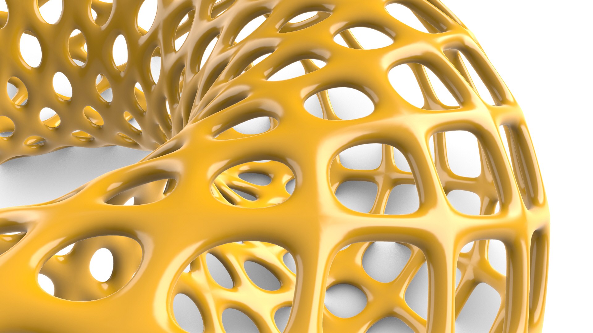 Torus Skeleton Network Model - TurboSquid 2311206