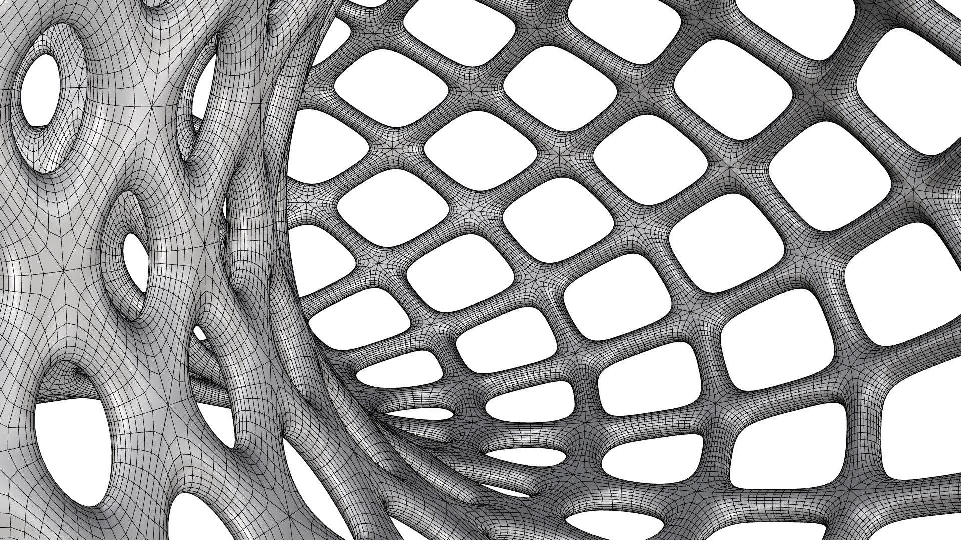 Torus Skeleton Network Model - TurboSquid 2311206