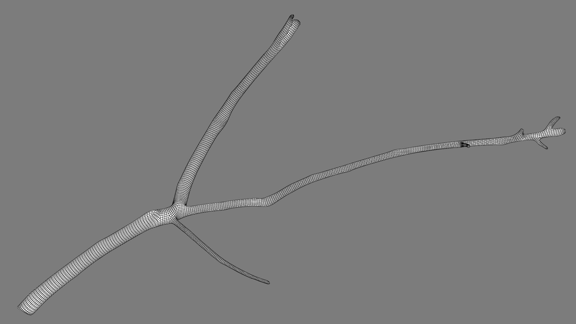 Twig Scanned 13 3D Model - TurboSquid 2088638