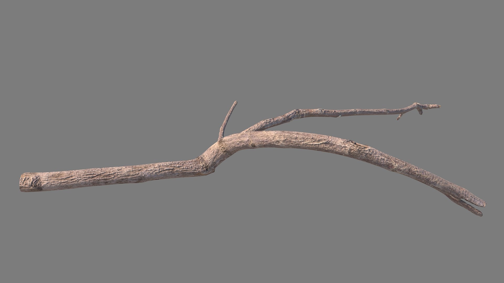 Twig Scanned 13 3D Model - TurboSquid 2088638