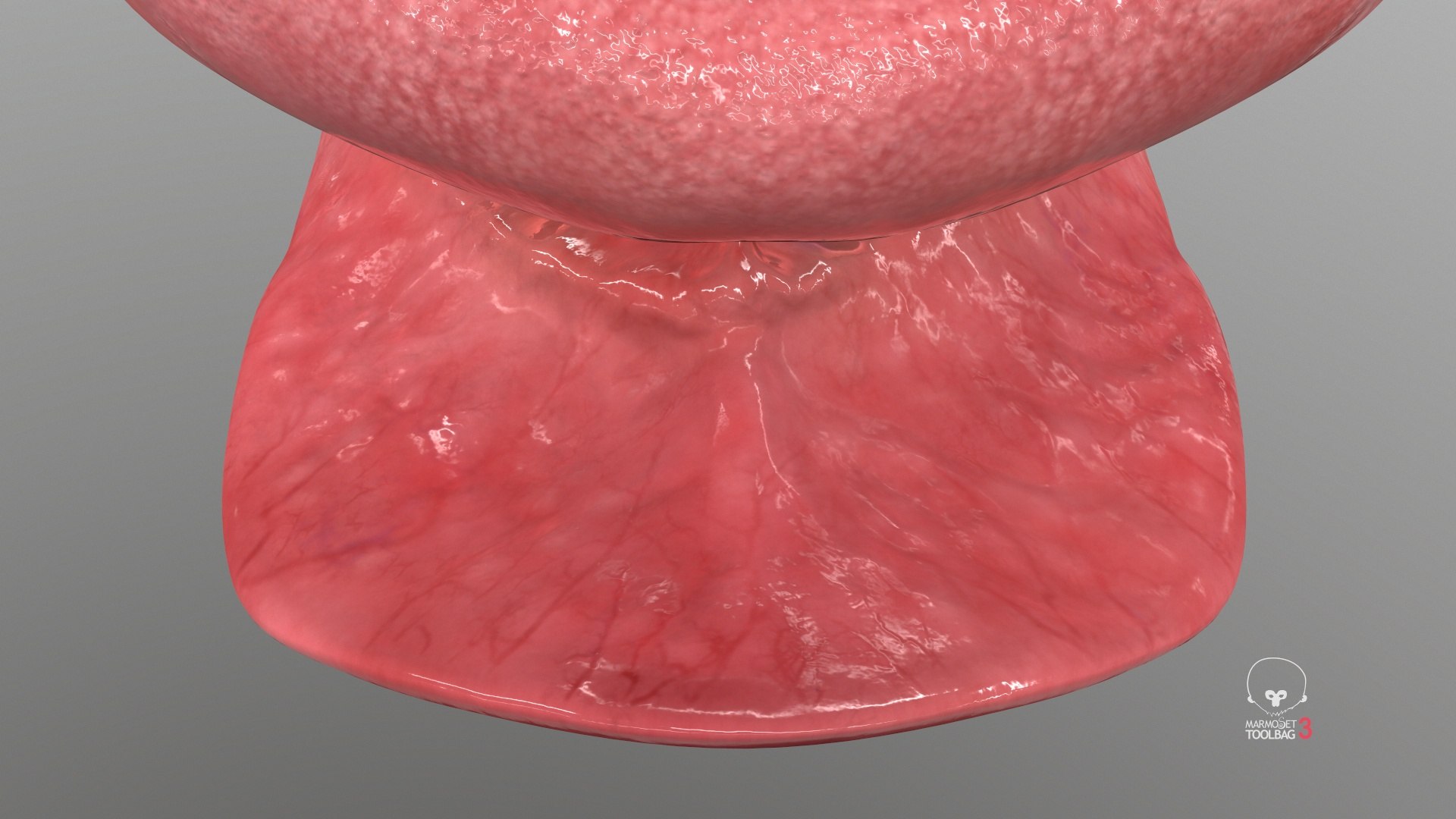 3D Model Realistic Human Tongue Rig Maya - TurboSquid 1894202