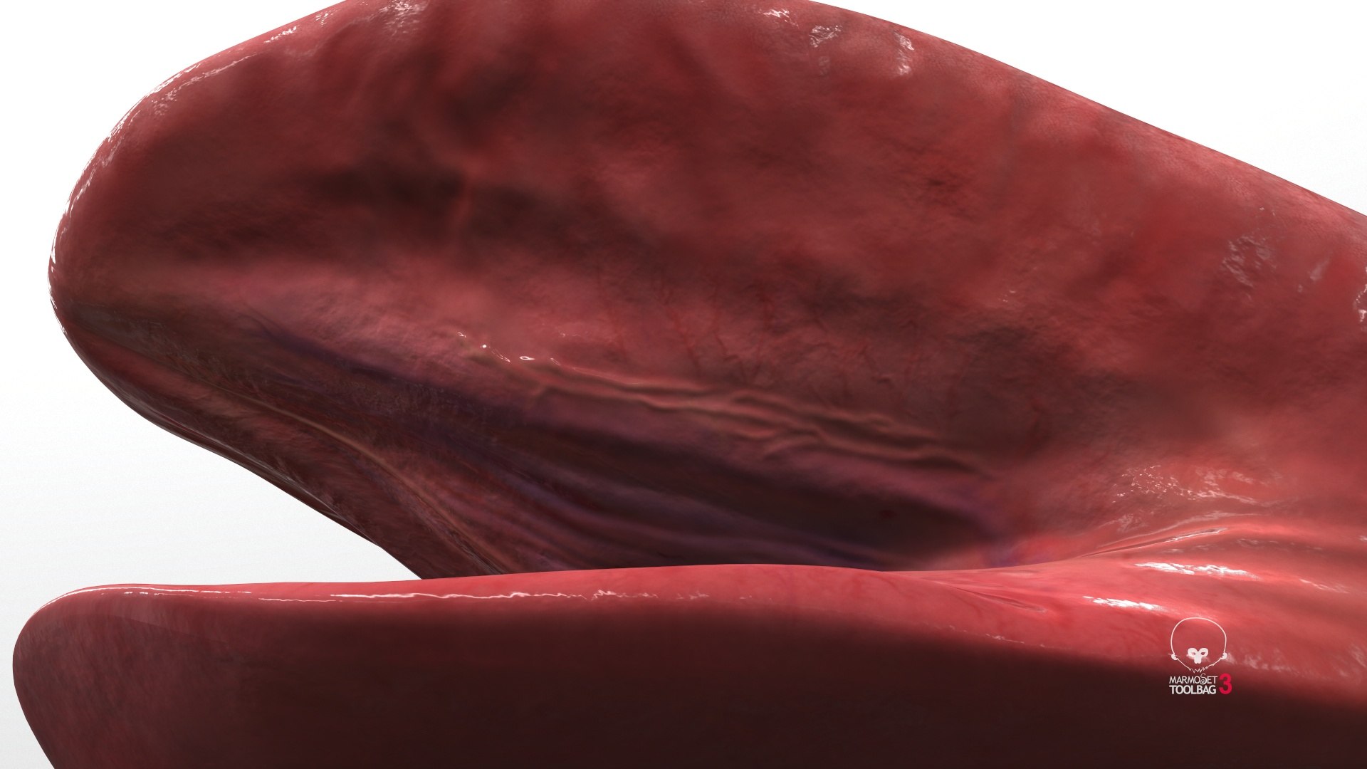 3D Model Realistic Human Tongue Rig Maya - TurboSquid 1894202