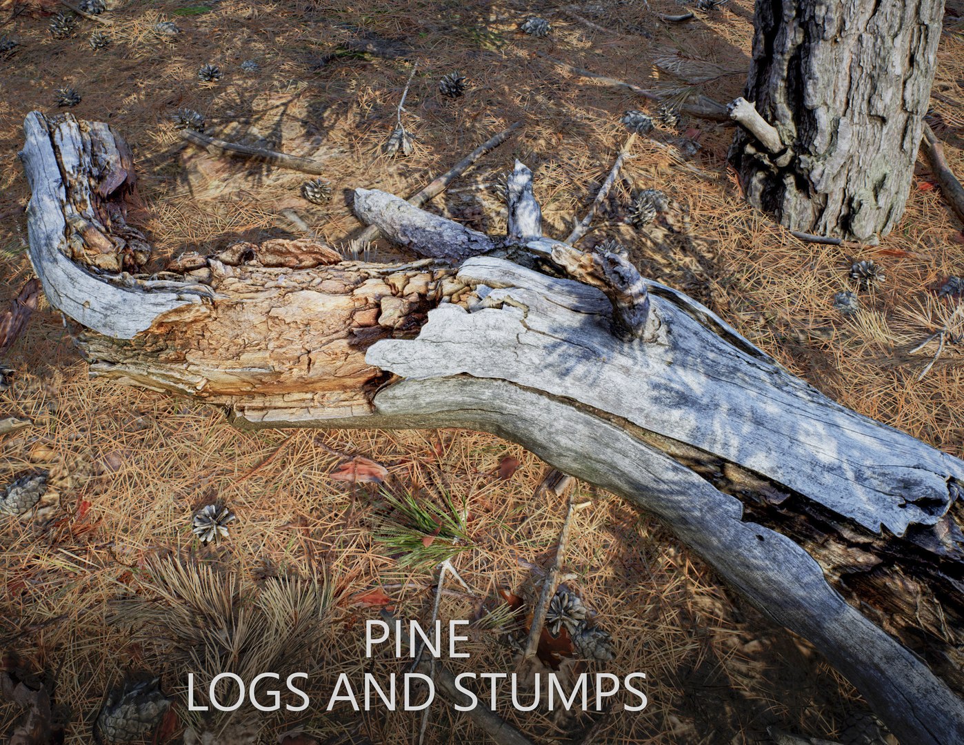 3D Logs Stumps Set Pine - TurboSquid 1609610