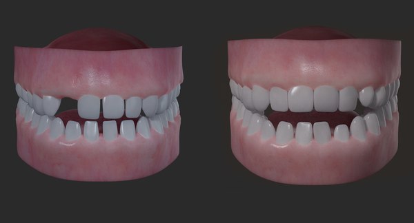 Molar 3D Models for Download | TurboSquid