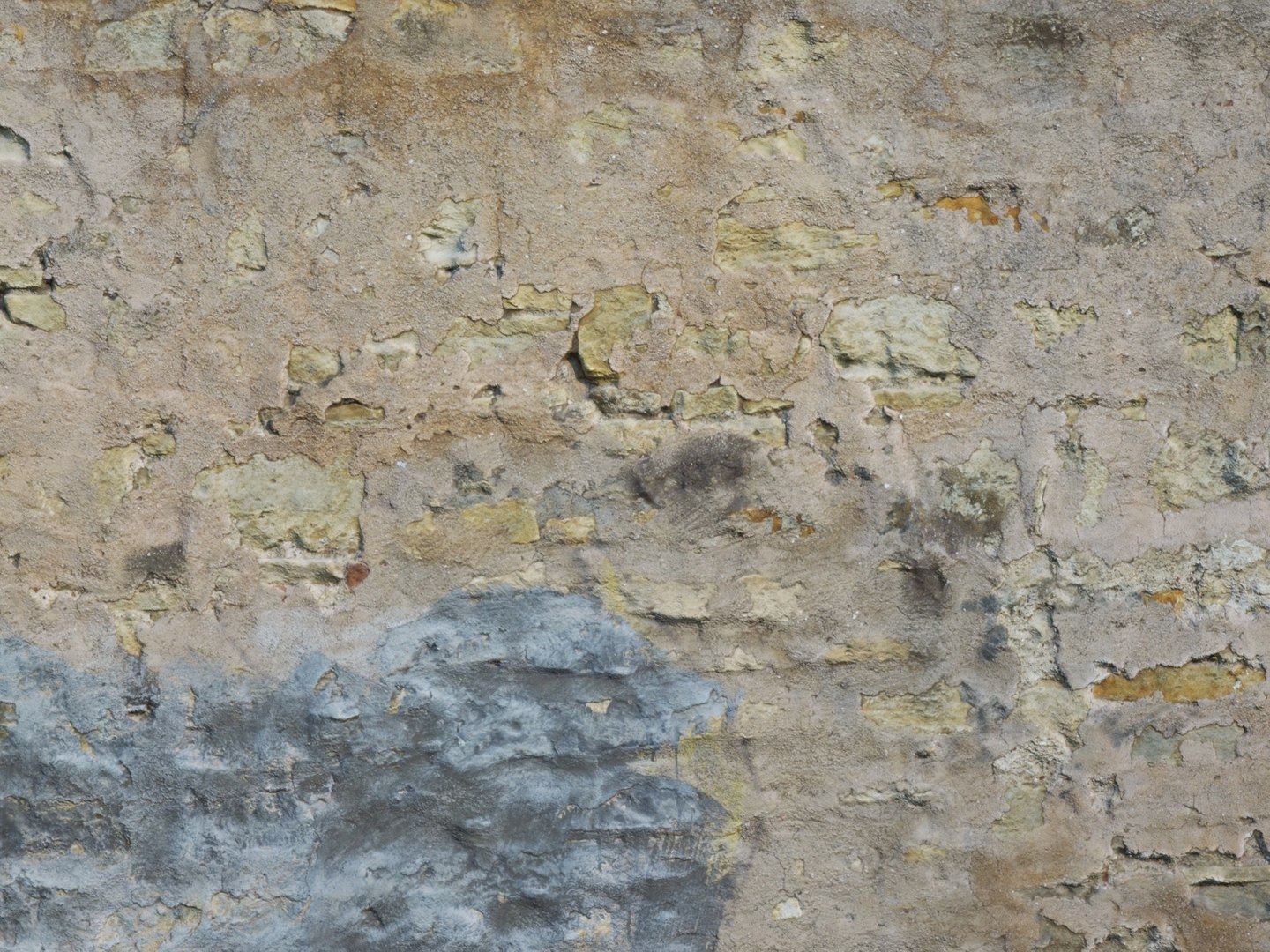 Stone Wall Scan 3D - TurboSquid 1635452