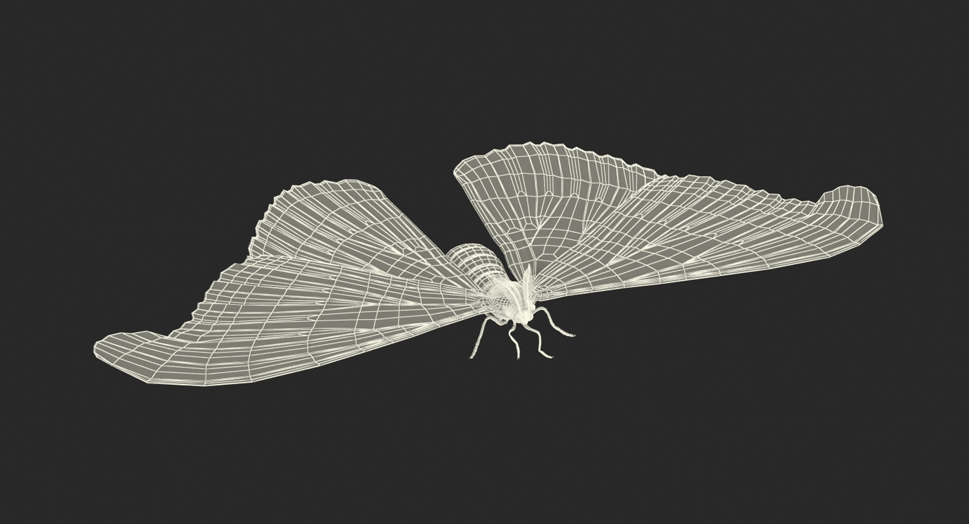 Atlas Moth Sitting Pose Model - TurboSquid 1191765