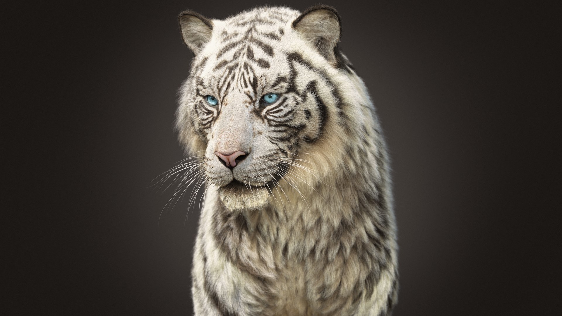 Tigers (static) Xgen-core 3D Model - TurboSquid 2374092