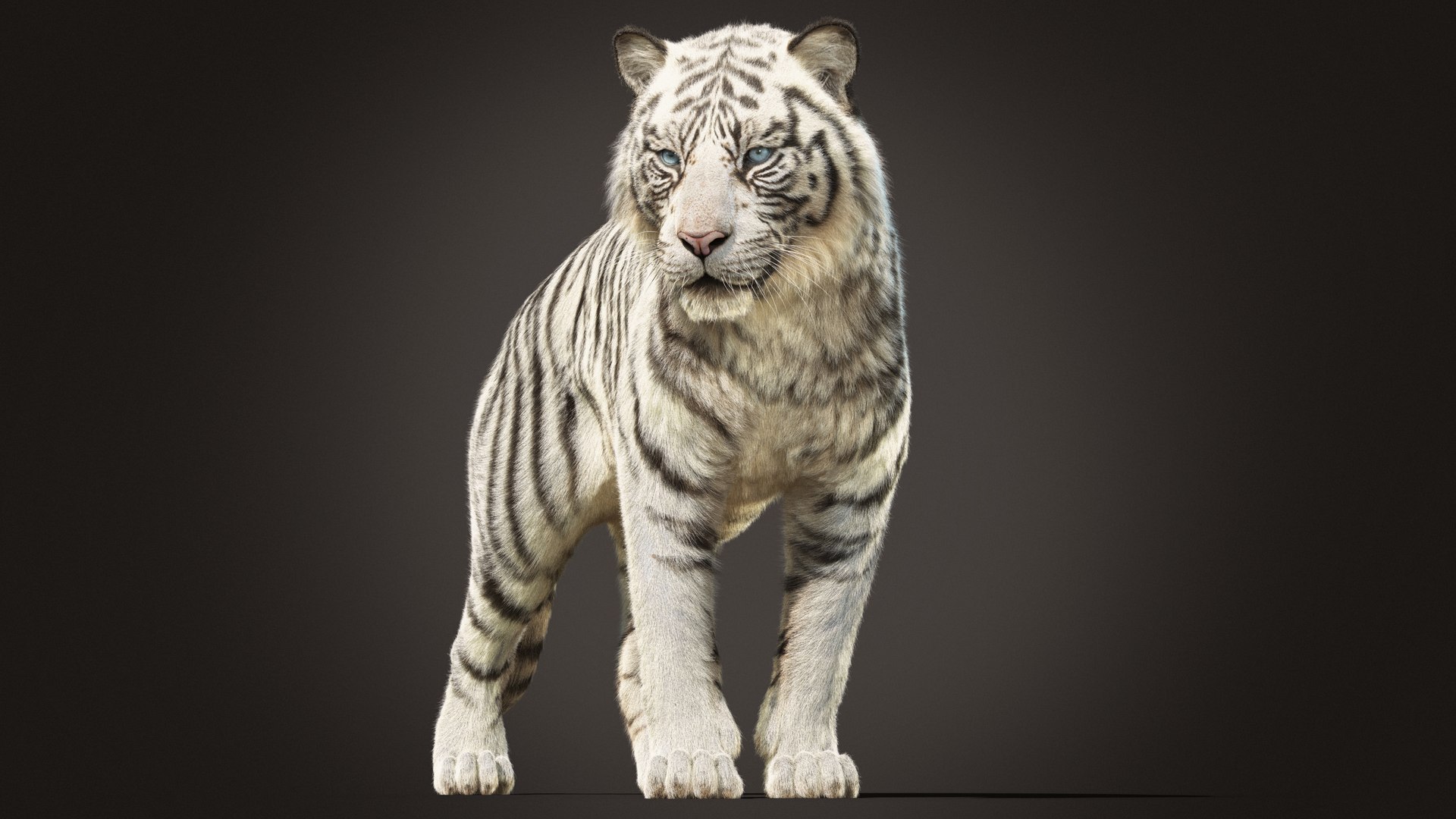 Tigers (static) Xgen-core 3D Model - TurboSquid 2374092
