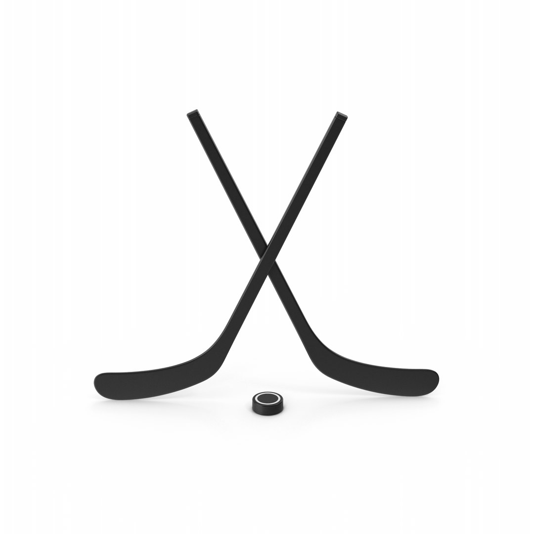 3D Hockey Stick And Puck Model - TurboSquid 2001803