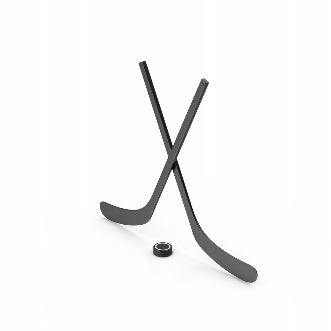 3D Hockey Stick And Puck Model - TurboSquid 2001803