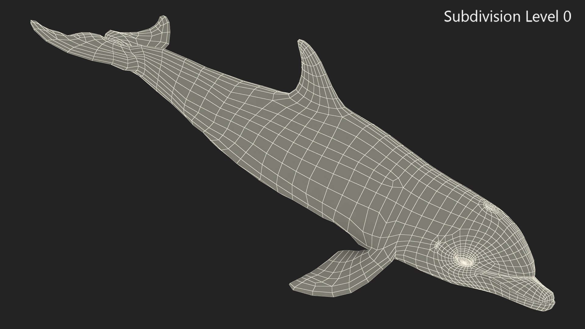 Dolphin Swimming And Jumping Animated model - TurboSquid 2007305