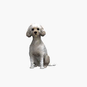 Poodle 3D Models for Download | TurboSquid