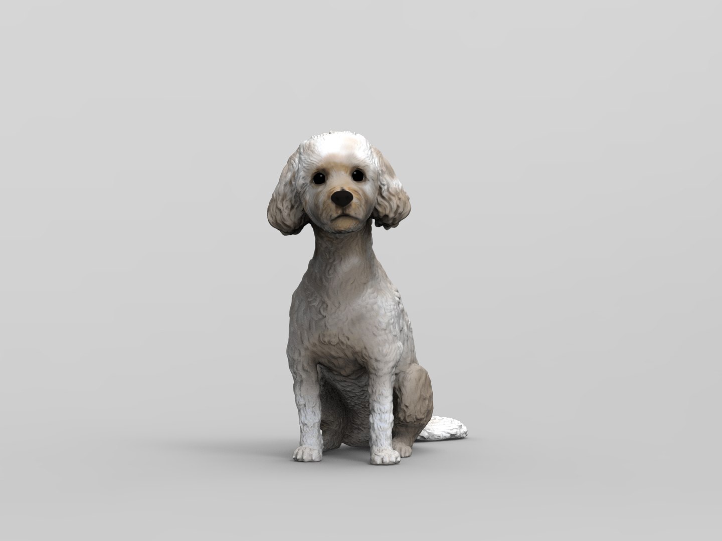 Poodle Dog 3D Model - TurboSquid 2216193