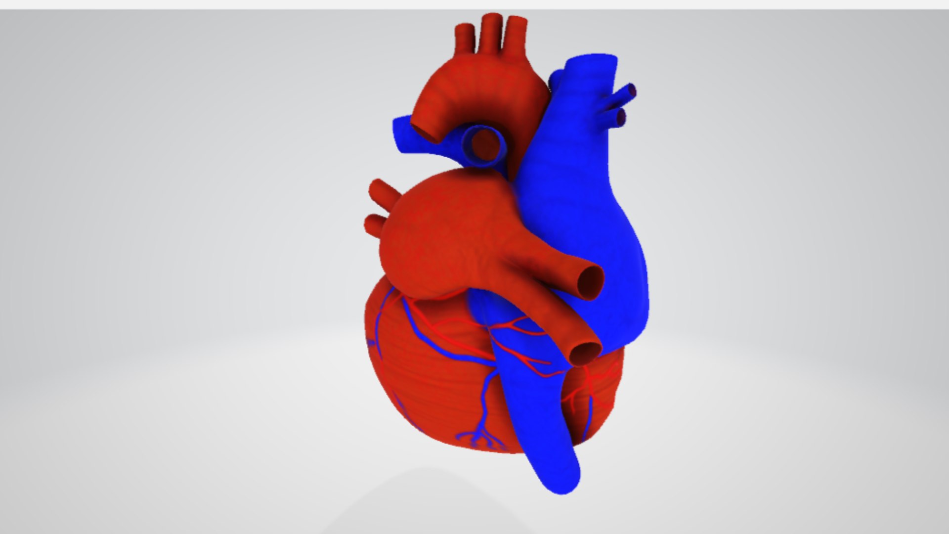 Beating Heart 3D Model 3D Model - TurboSquid 2245010