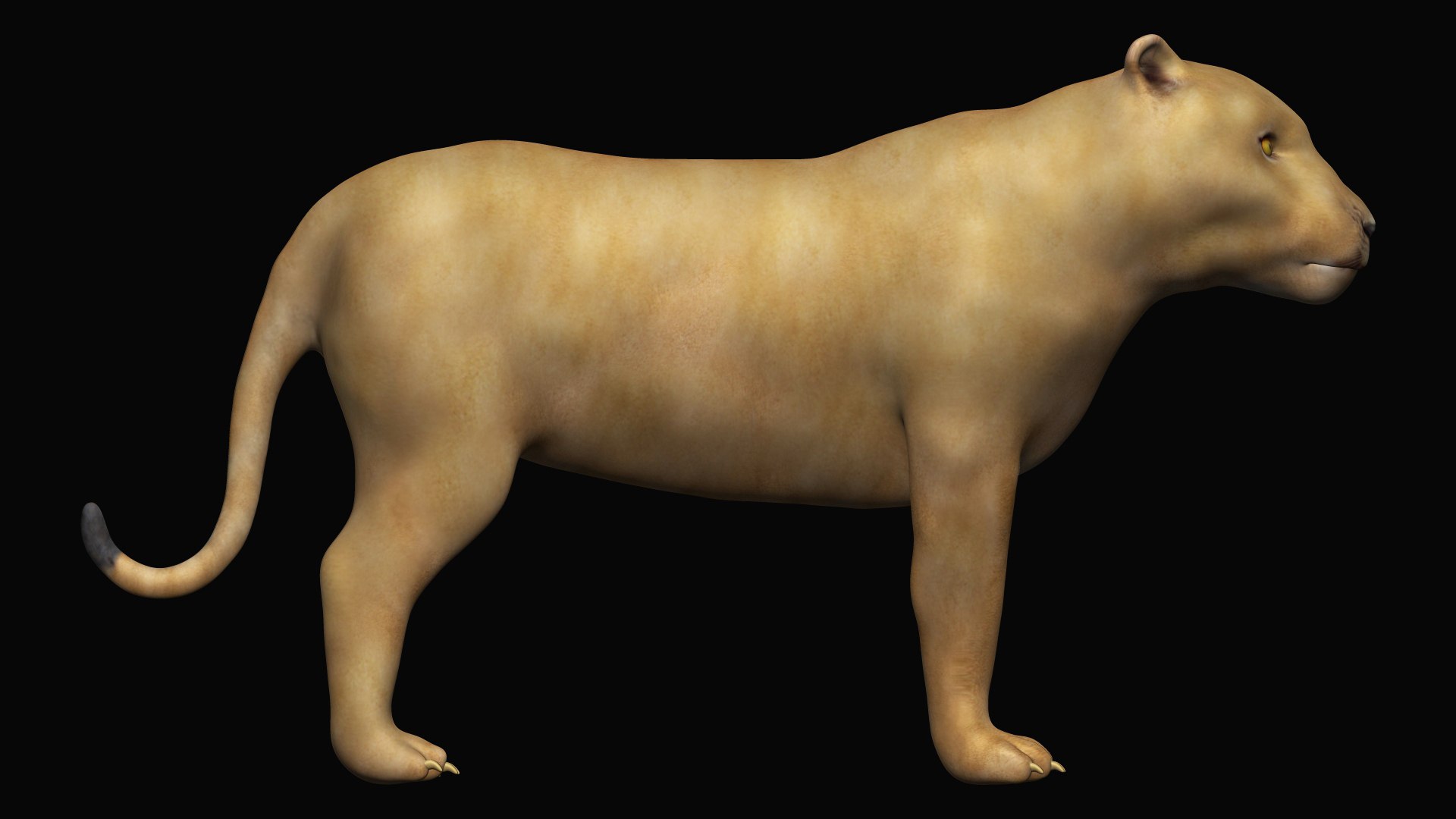 Rigged Female Lion Lioness 3D Model - TurboSquid 1694845